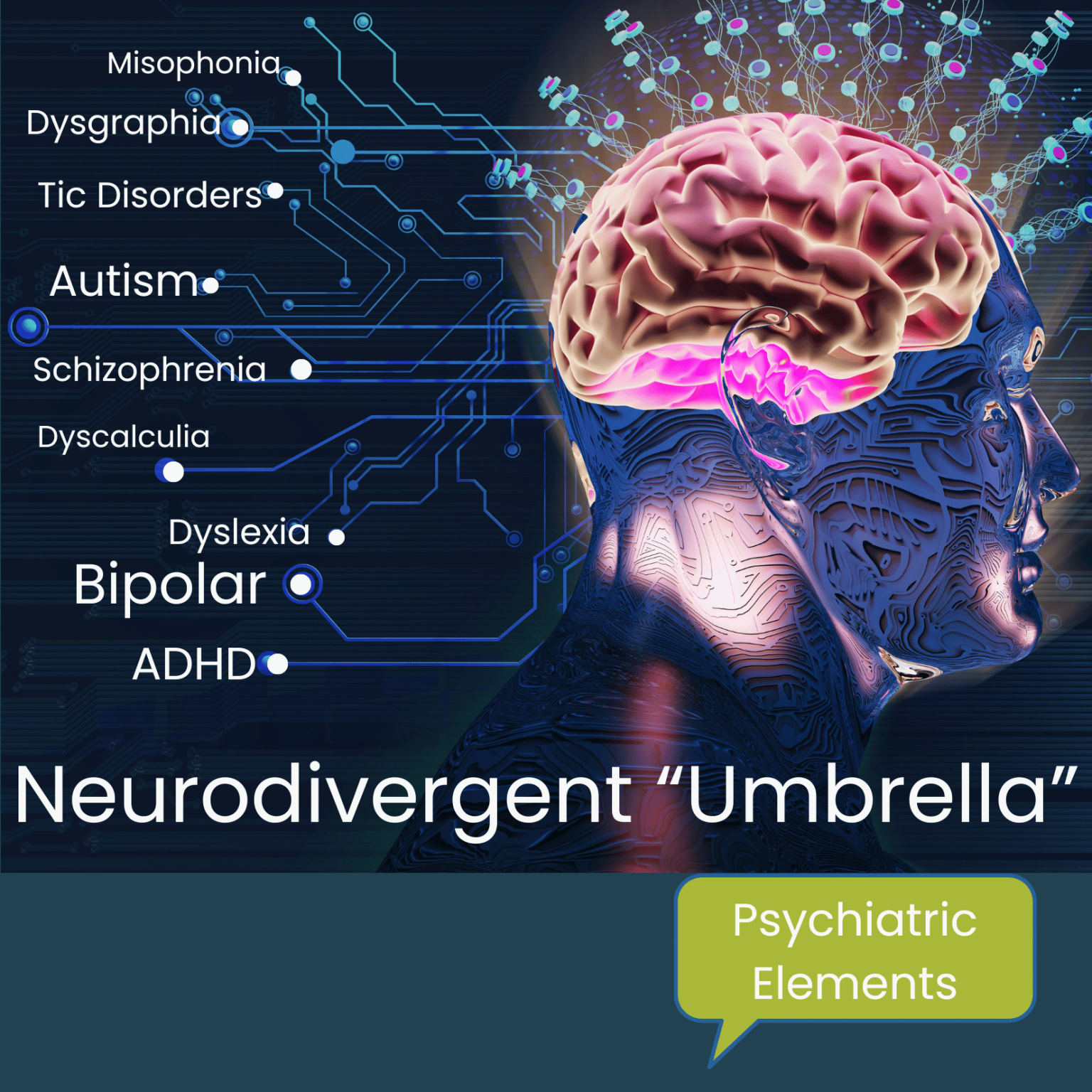 Embracing neurodivergence in a neurotypical world - For Schools ...